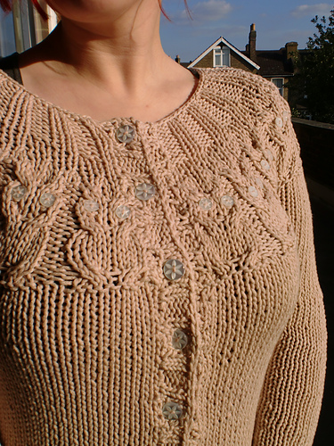 Ravelry: Owls Sweater to Cardigan Conversion Notes pattern by Jenny ...
