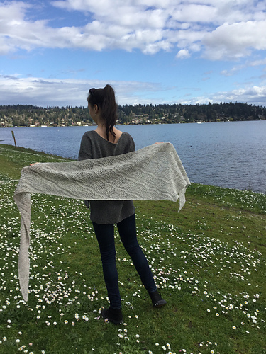 Ravelry: Birch Sap Shawl pattern by SweaterFreak