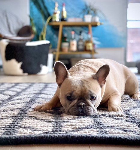 Ravelry: BLANKnit Illusion Throw pattern by Josh Bennett