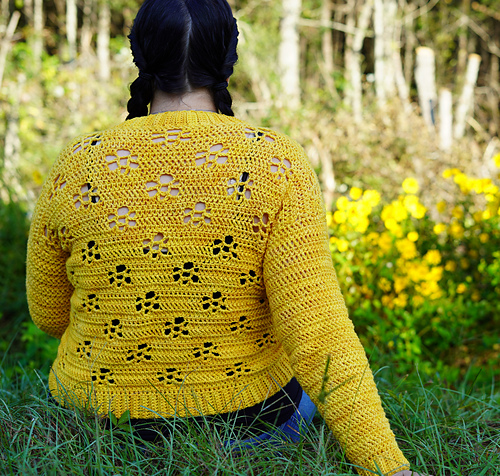 Ravelry: Daisy Dream Bomber pattern by Anastasia R Smith