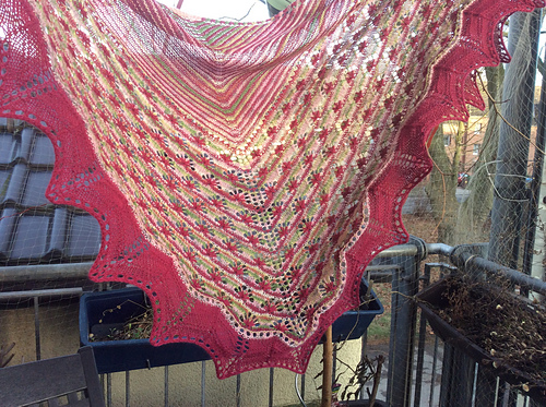 Ravelry: Unverblümt Tuch pattern by FadenStille