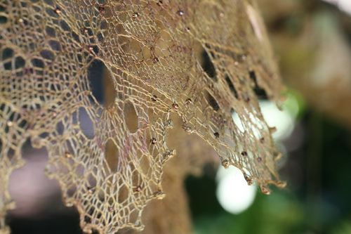 Ravelry: Danse Macabre pattern by Boo Knits