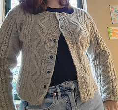 Ravelry: Design Your Own Aran Cardigan pattern by Elizabeth McCarten