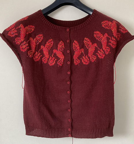 Ravelry: Hummingbirds cardigan pattern by Kaarel Kalatraaler