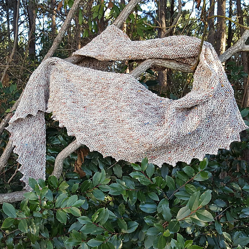 Ravelry: KarenFechter's Hitchhiker Shawl with Patons Gypsy Tweed