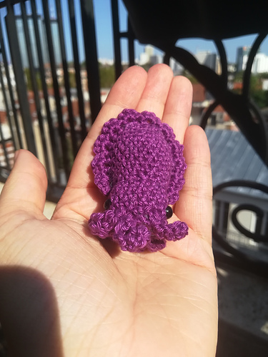 Ravelry: Cuttlefish Amigurumi pattern by Elizabeth Frantz