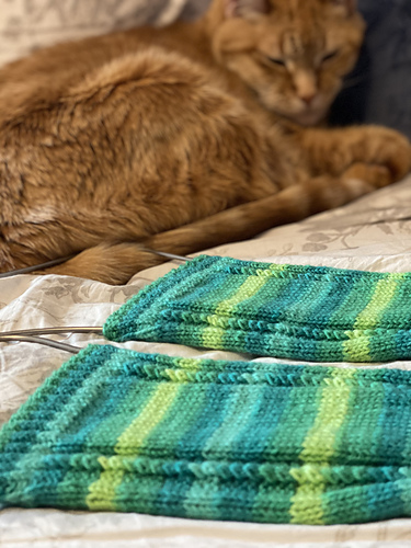 Ravelry: French Twist Socks pattern by Twin Stitches Designs