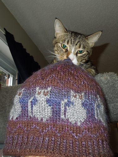 Ravelry: Cat Hat pattern by Jane Irish Nelson