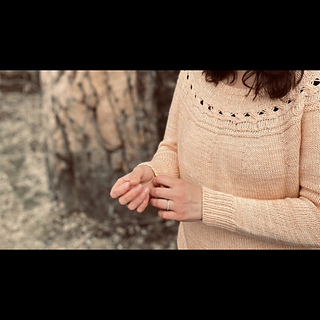 Ravelry: OLD TIES & COMPANIONS pullover pattern by Janny Hanson