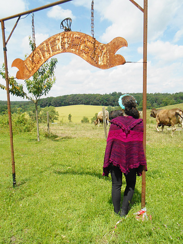 Ravelry: SPECULUM pattern by Knitarin-Karin Hess