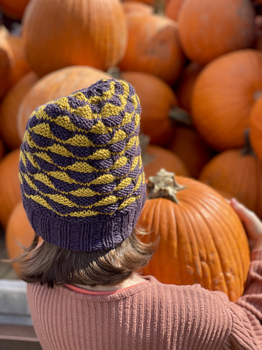 Ravelry: Faraday pattern by Susan Chin