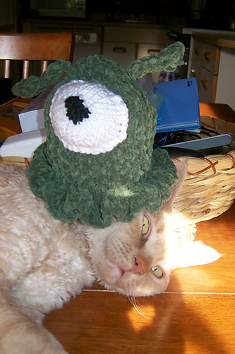 Ravelry: From the Brain Slug Planet pattern by Steph Michaud