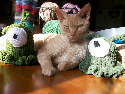 Ravelry: From the Brain Slug Planet pattern by Steph Michaud