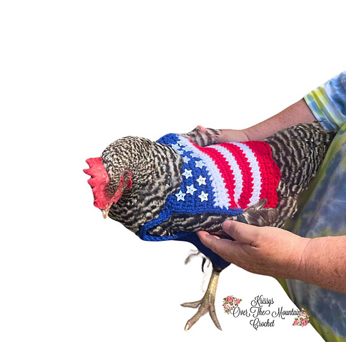 Ravelry: Chicken Sweater pattern by Kris Moore
