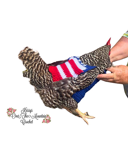 Ravelry: Chicken Sweater pattern by Kris Moore