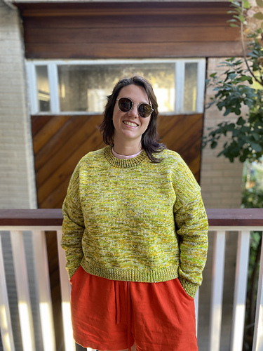 Ravelry: Salvelinus (Fish Sweater) pattern by Lacey Williamson