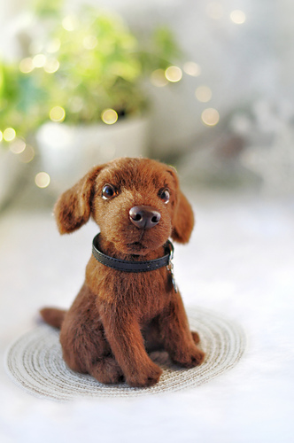 Ravelry: Labrador retriever. pattern by Kudinova Anna