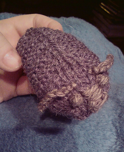 Ravelry: Knit Trilobite pattern by Madeleine Poirier