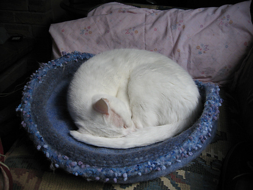 Ravelry: Kitty Pi pattern by Wendy D. Johnson