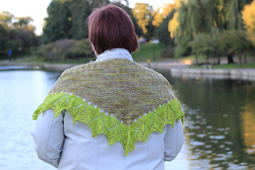 Ravelry: Lichenometry pattern by Allison Janocha