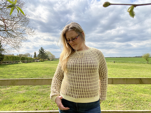 Ravelry: Taurus Jumper pattern by Ana-Maria