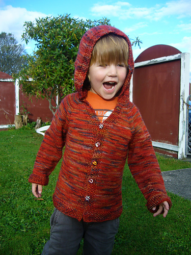 Ravelry: Young Einstein pattern by Julia Stanfield