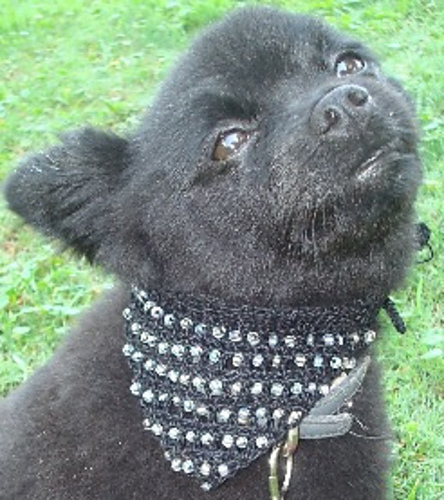 Ravelry: Buddy Bandit Bandana pattern by Lisa Gentry