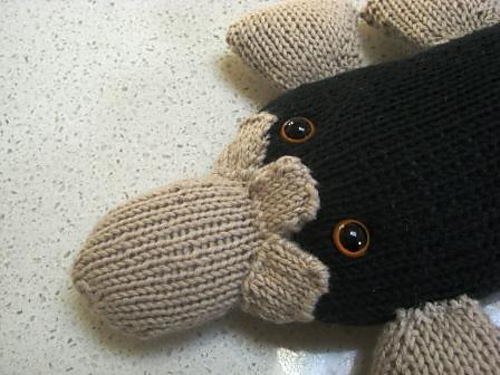Ravelry: Duck-Billed Platypus pattern by Kath Dalmeny