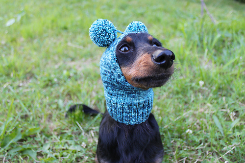 Ravelry: Small Dog Hat pattern by Valya Boutenko