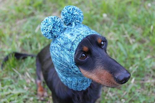Ravelry: Small Dog Hat pattern by Valya Boutenko