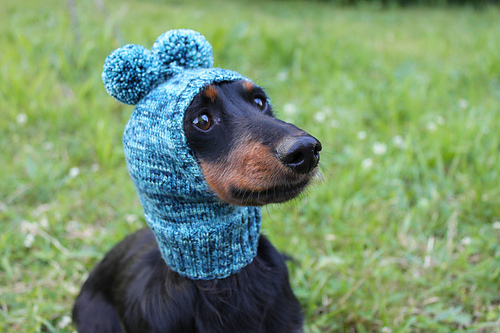 Ravelry: Small Dog Hat pattern by Valya Boutenko
