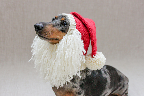 Ravelry: Santa Dog Hat With Beard pattern by Valya Boutenko
