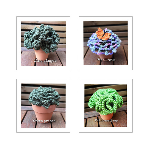 Ravelry: Princess Lace succulent pattern by Kat Witherall