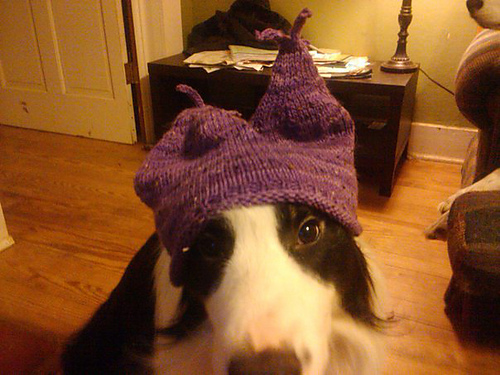 Ravelry: Chowder Hat pattern by Mandy Zeller