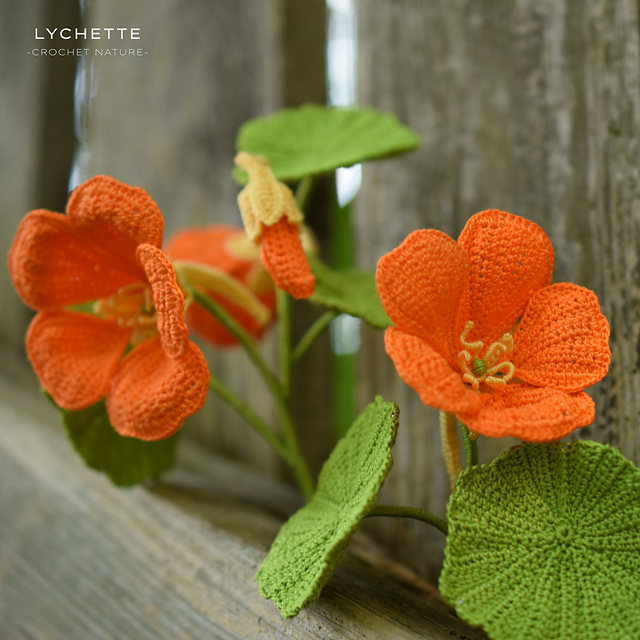 Ravelry: Nasturtium Flower pattern by Lychette Crochet Nature