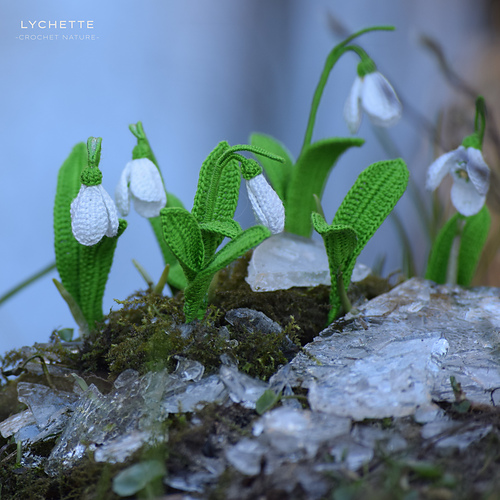 Ravelry: Snowdrop Flower pattern by Lychette Crochet Nature