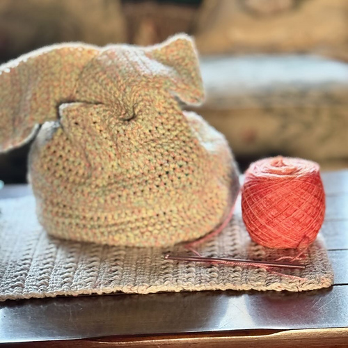 Ravelry: Ami Project Bag pattern by Debbie Field