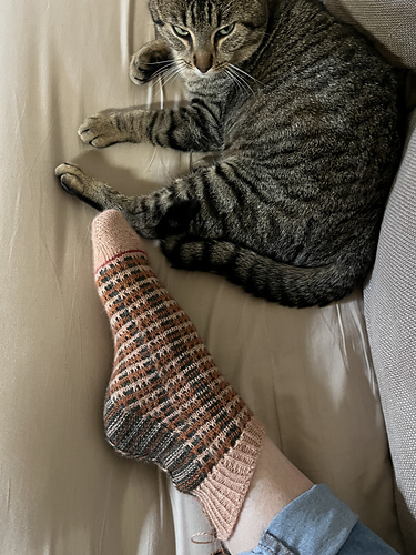 Ravelry: TARTAN Socks pattern by Beatrice Mase