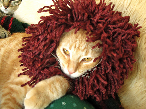 Ravelry: Cat's Mane pattern by Mer Almagro