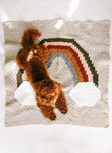 Ravelry: Over the Rainbow C2C Blanket pattern by Jess Coppom