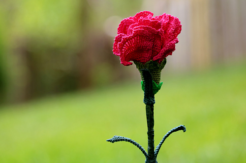 Ravelry: Flower of the gods: Carnation pattern by Marilyn Smith