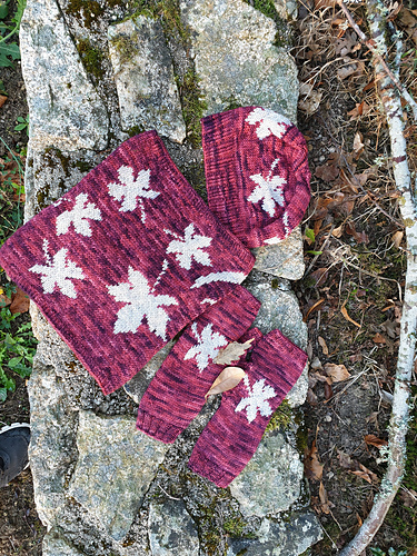 Ravelry: squirrel away set pattern by Marion Crivelli