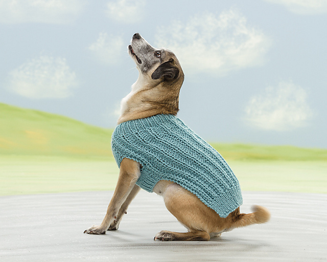 Ravelry: Skye pattern by Sharon Sebrow