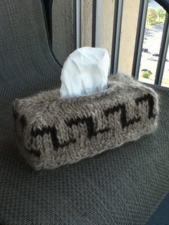 Ravelry: McLovin's The Dude's Tissue Box Cosy