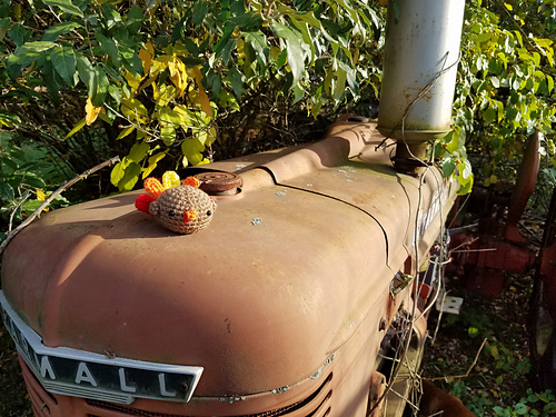 Ravelry: Amigurumi Turkey pattern by The Enchanted Ladybug