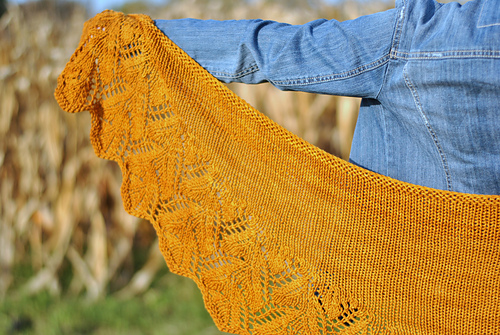 Ravelry: Harvest Moon pattern by Mindy Wilkes