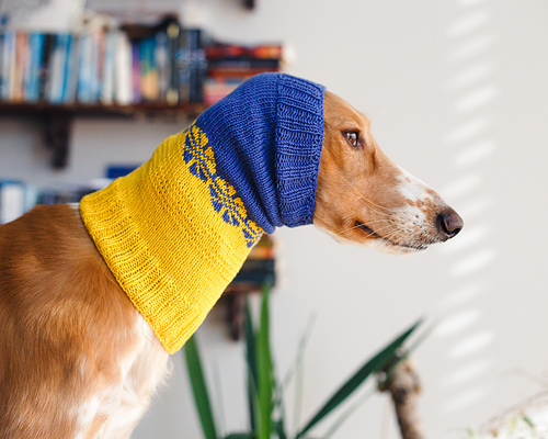 Ravelry: Ukraine support Sunflower dog snood pattern by Mio, my Dog