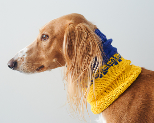 Ravelry: Ukraine support Sunflower dog snood pattern by Spīgana Spektore
