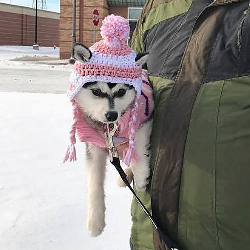 Ravelry: Pippa Puppy Hat pattern by Rebecca Jennings