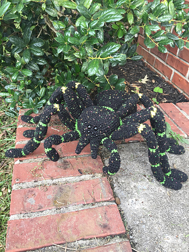 Ravelry: Large Tarantula pattern by Melinda Kindley